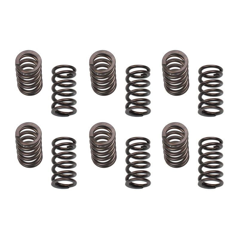 Industrial Injection 5.9 Cummins 12 Valve 150 lb Valve Spring Set ...